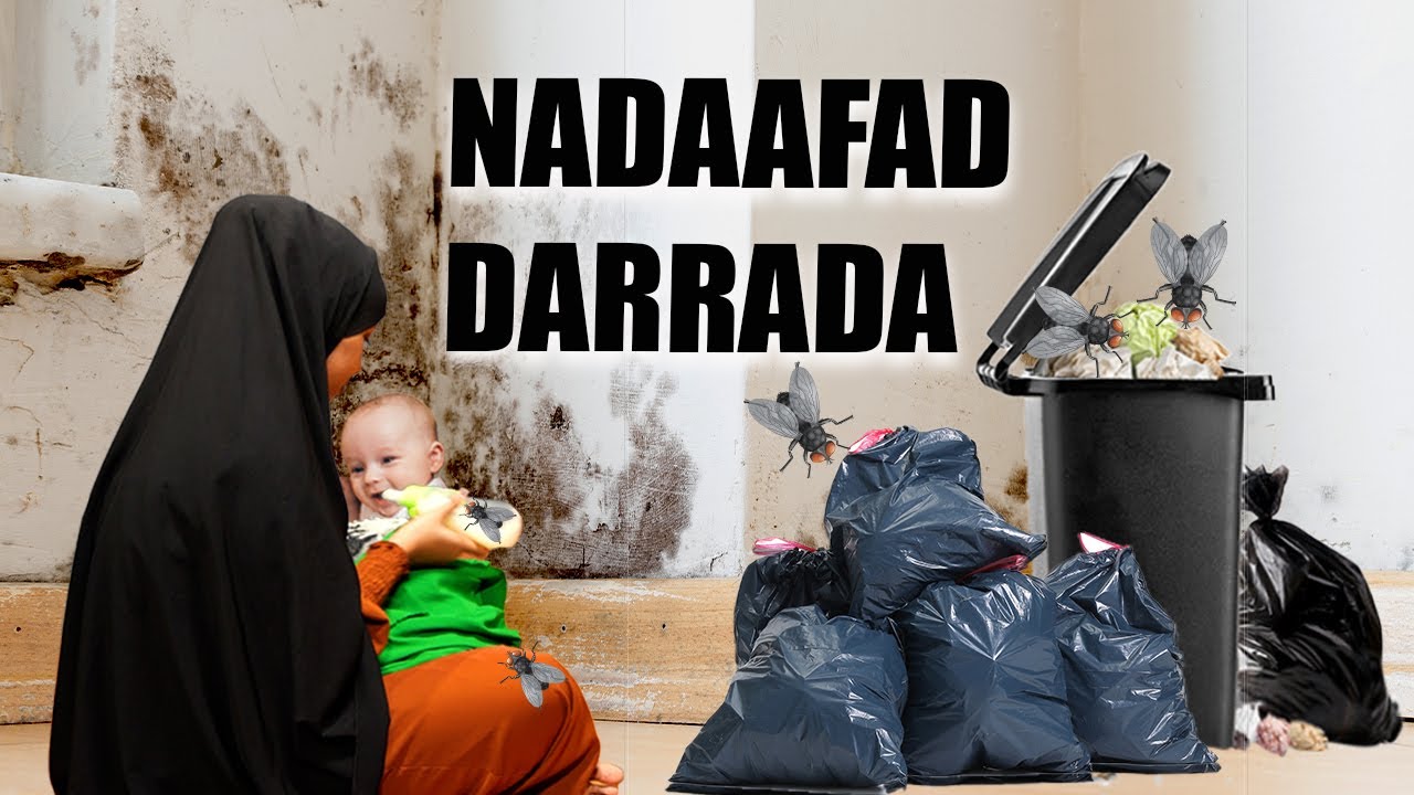 Waxyaabaha aan ka dhaxli karno Nadaafad darada. @jiilmedia - YouTube