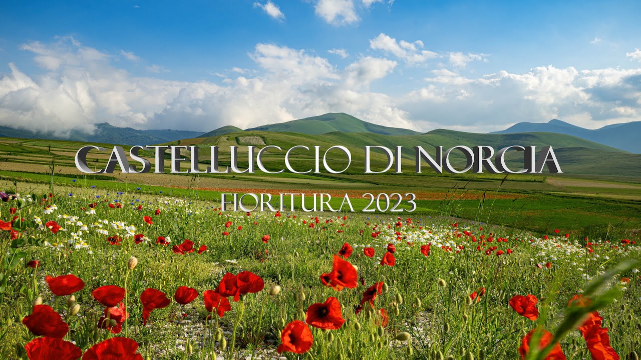 Castelluccio di Norcia - Fioritura 2023 🥀⚘️🌷 #castellucciodinorcia # ...