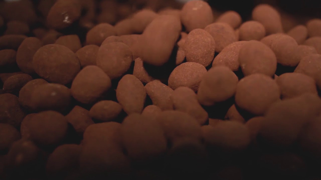 Amêndoas de chocolate da Hachimitsu - YouTube