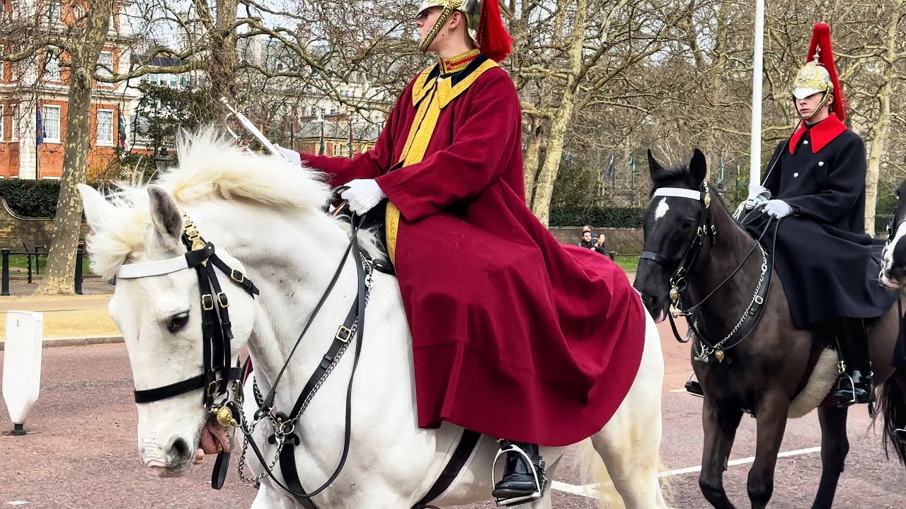 Rare Royal Moment: King's Guards Spotted on the Legendary King of ...