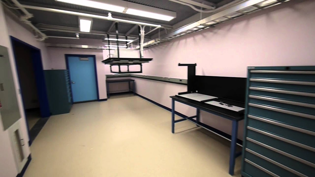 New Harris Lab at Yale! - YouTube