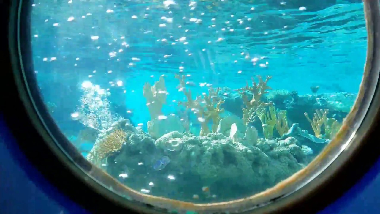 Finding Nemo Submarine Voyage (Full Ride) Disneyland 2017 - YouTube