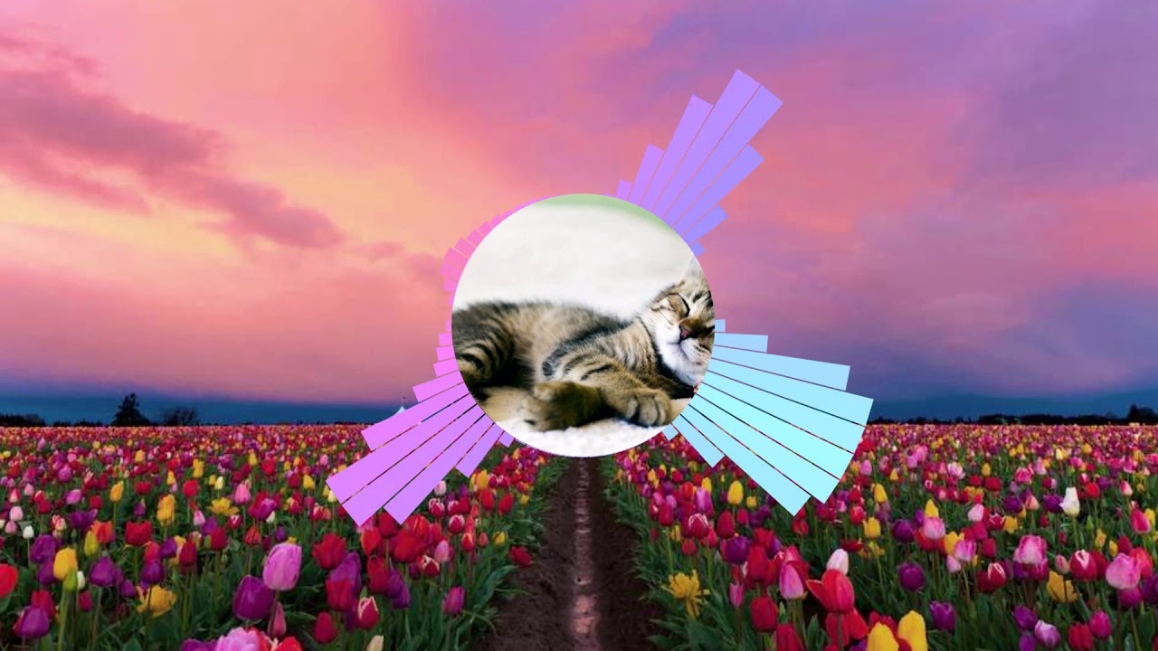 Pusher - Clear ft. Mothica (Shawn Wasabi Remix) (Pusher meme song ...