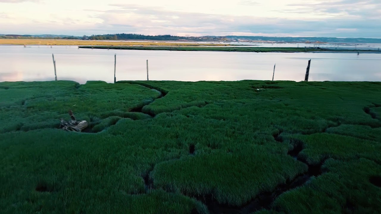 Marysville Ebey Slough - YouTube