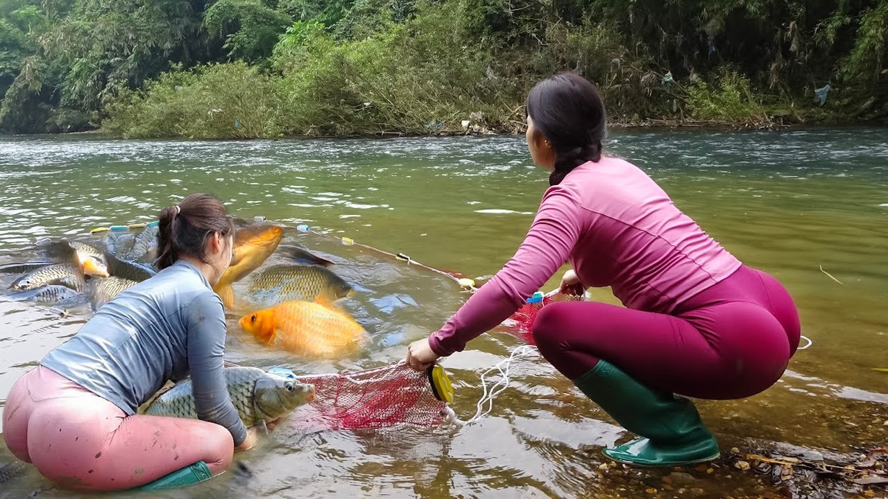 Teknik penangkapan ikan yang terampil | Memanen ikan liar menggunakan ...