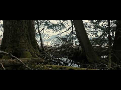 The Possession 2012- the box !