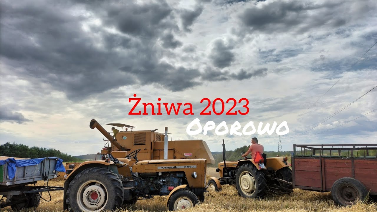 Żniwa 2023 | ryk Bizona🔥 | upalanie x motosa | 🚨OPOROWO 🚜 - YouTube