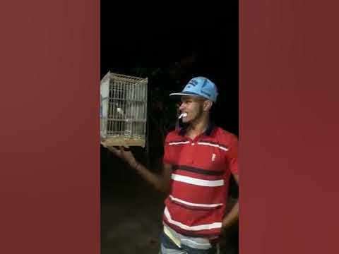 Papa capim dos meus sonhos - YouTube