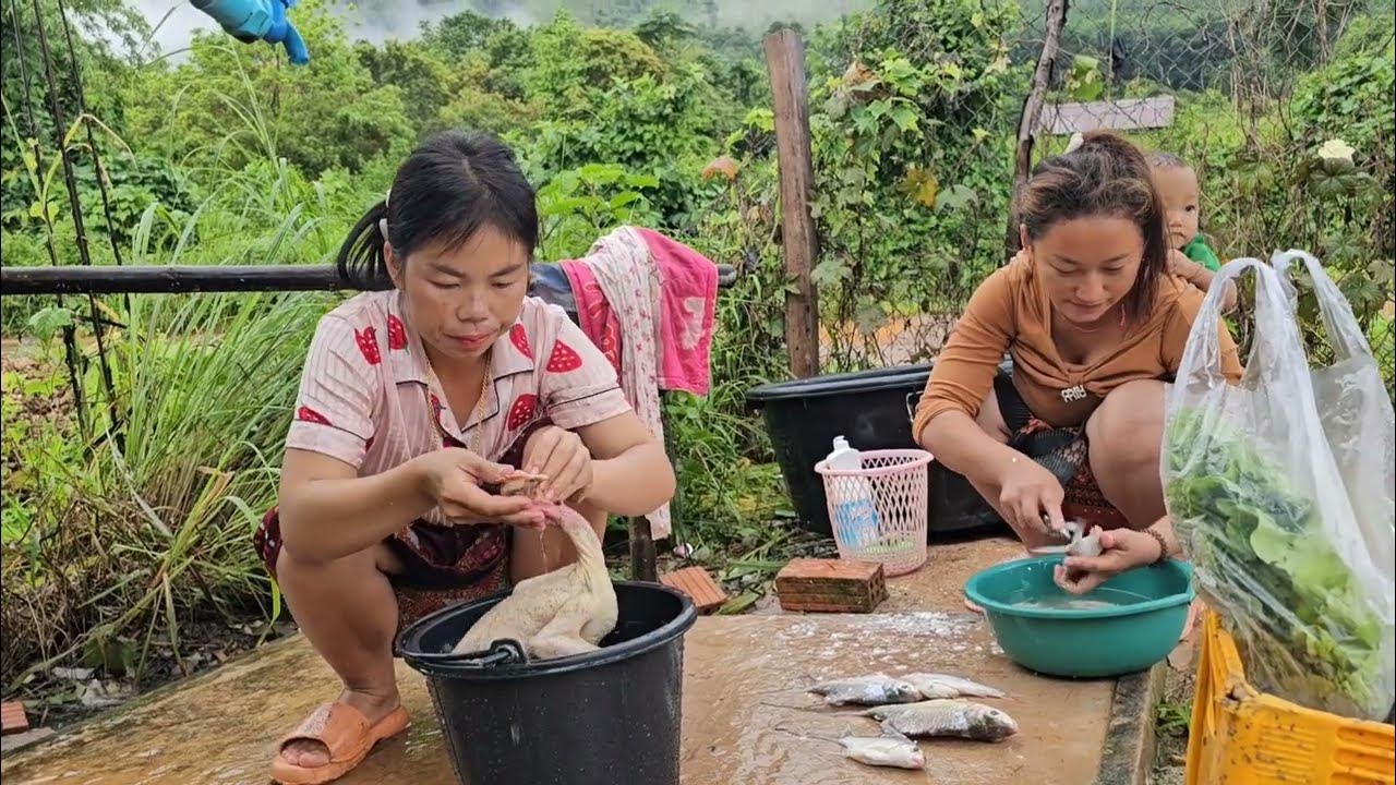 sawv ntxov los ua tshais noj kuv tus me txiv tsev yuav mus hawj lws lawm os 4/8/2024 - YouTube