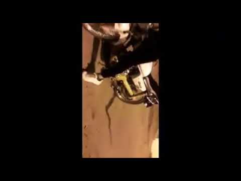 Mersin motor çetesi