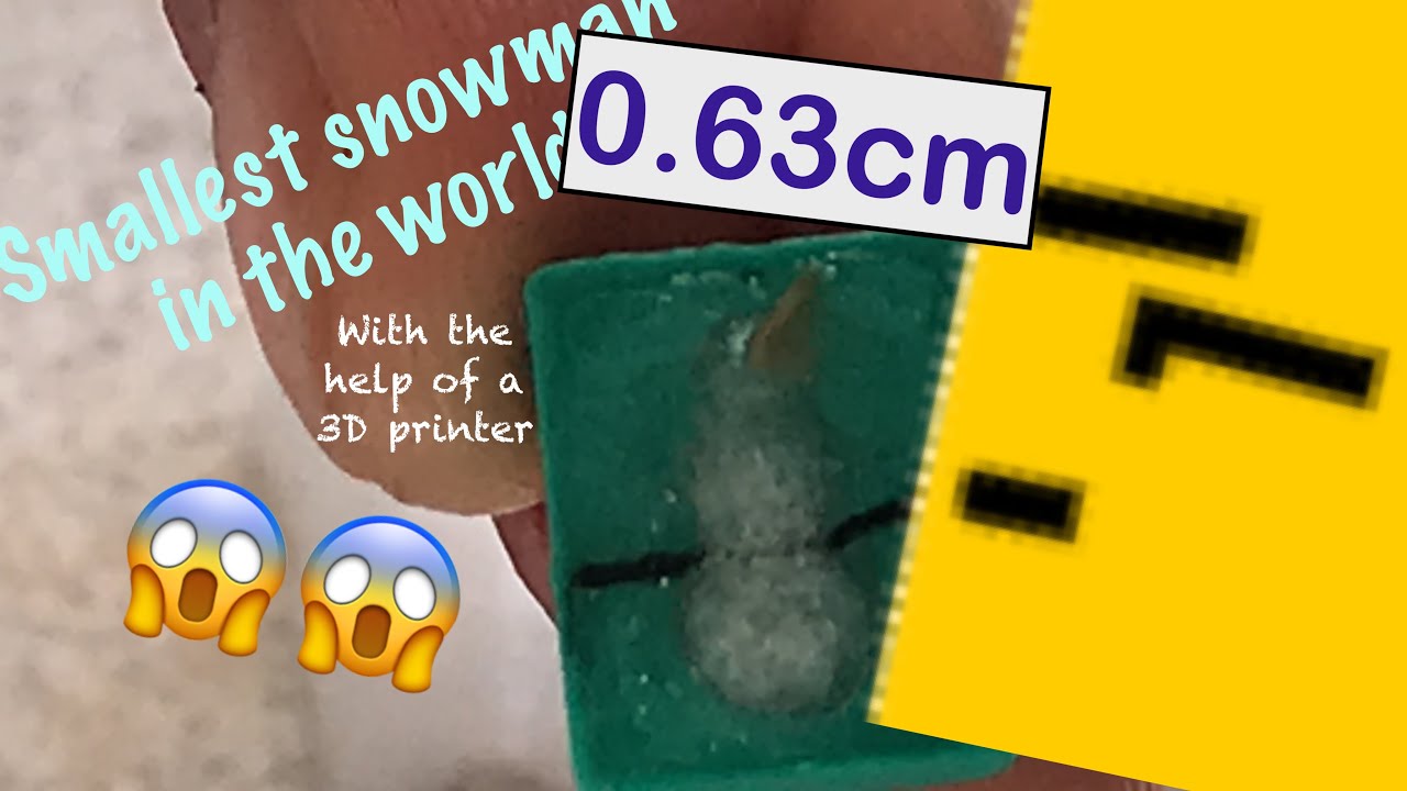 Smallest snowman in the world 0.63cm, with help of a 3d printer ...