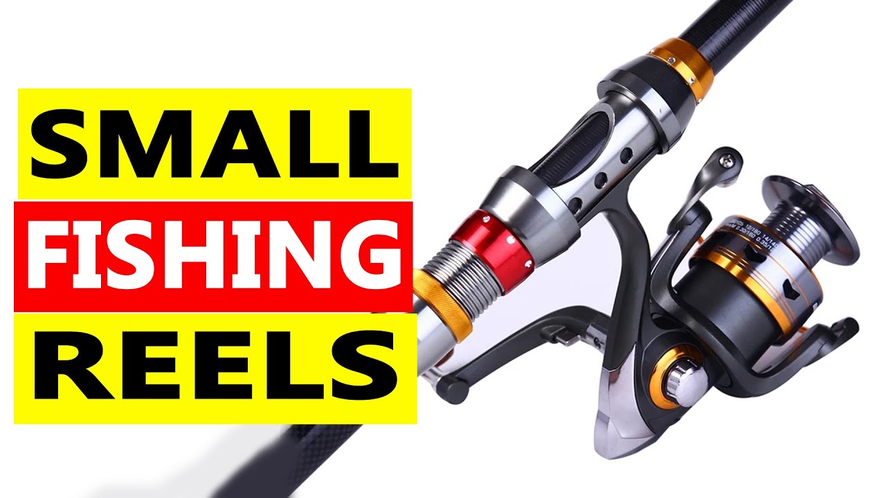 Top 5 Best Small Fishing Reel 2025 - YouTube