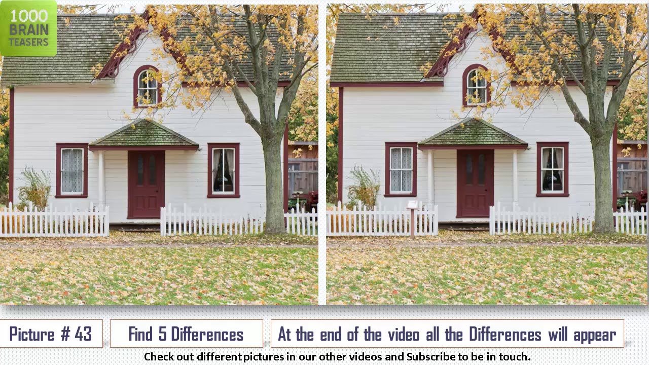 FIND 5 DIFFERENCES PUZZLE #43. Can you find 5 differences? - YouTube
