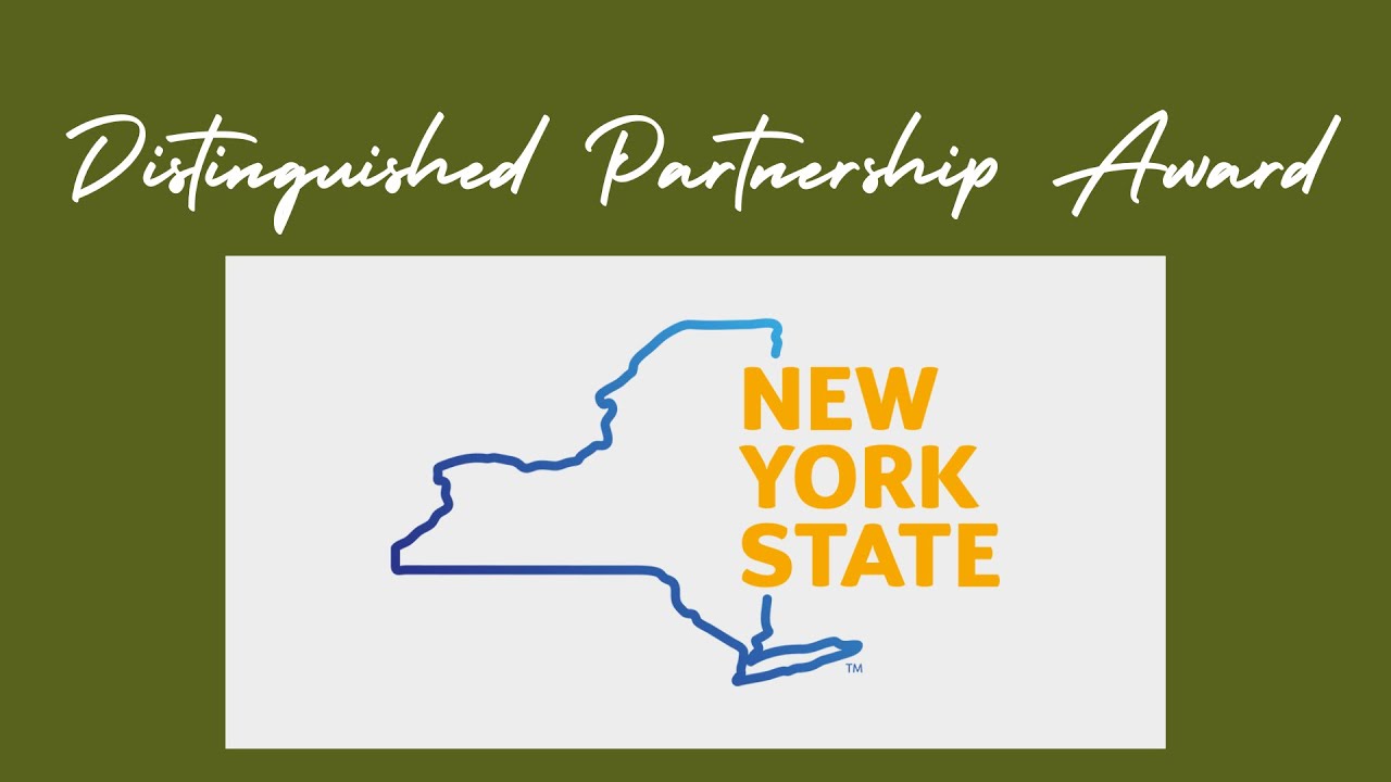 NYS Department of State - Distinguished Partner Award - YouTube