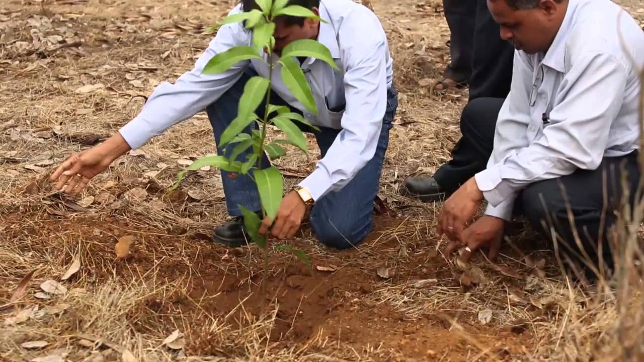 Tata Power promotes Biodiversity at Walwhan Gardens - YouTube