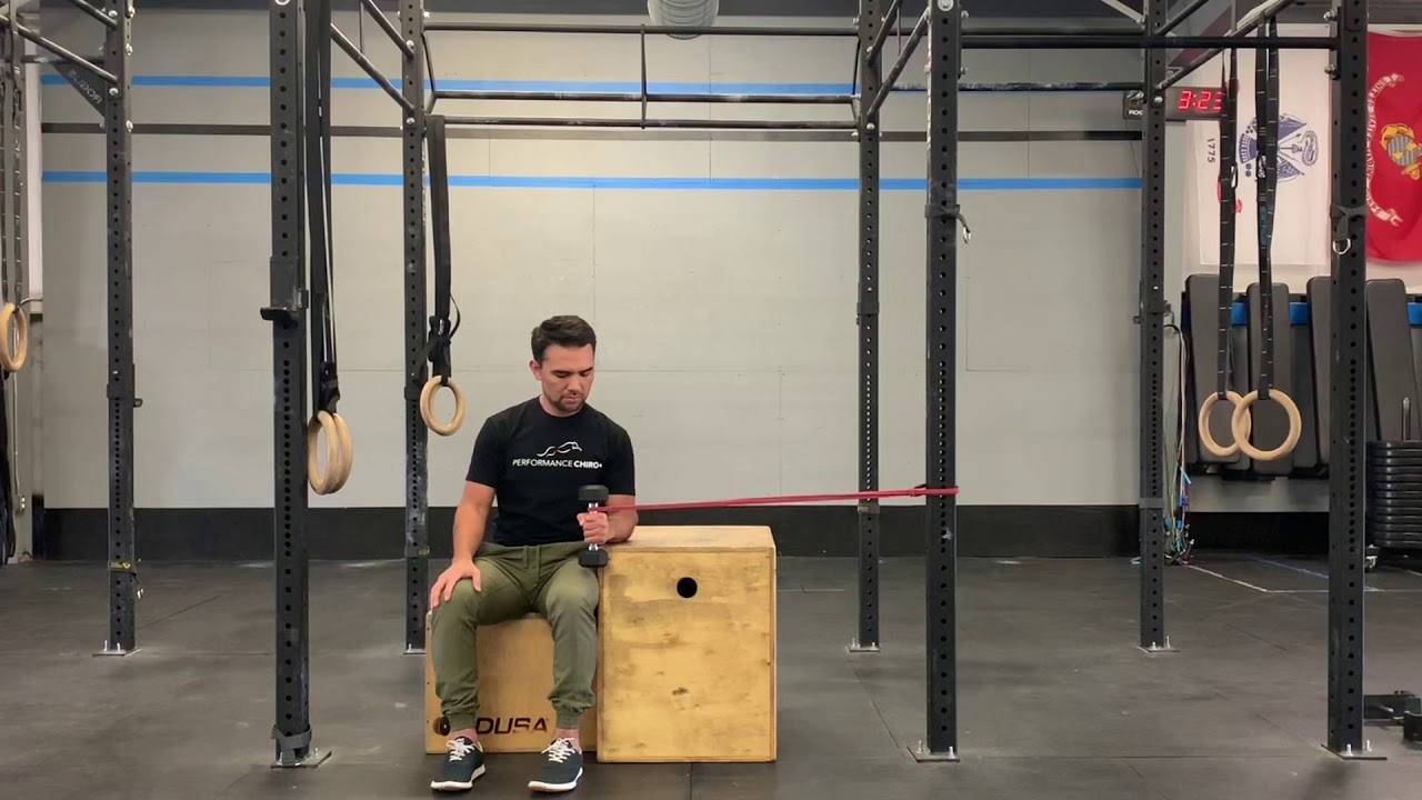 Forearm Pronation Banded Eccentrics - YouTube