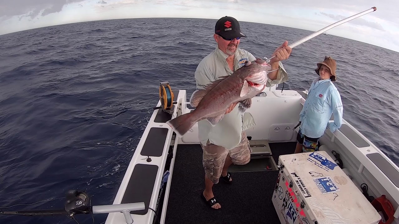 bar cod 2020 - YouTube