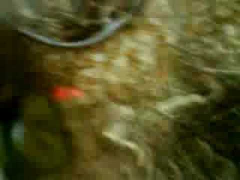 SchadZLZz' mäusi ULLiii && eDDie