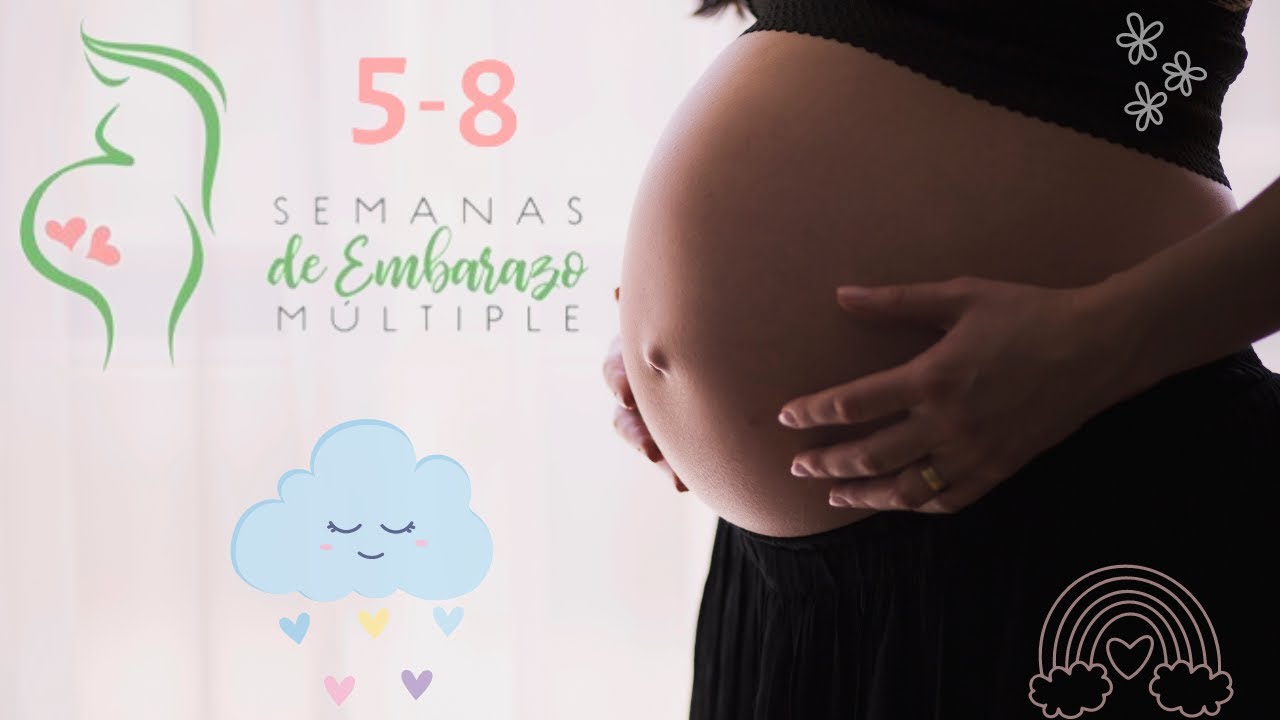 Semanas 5 a 8 de embarazo gemelar - YouTube