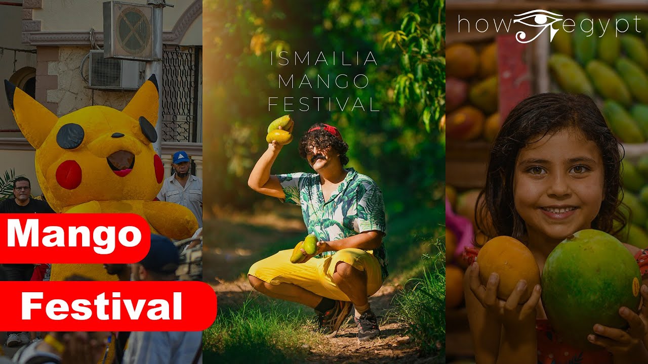 MANGO MANIA: Exploring Egypt's Crazy Mango Festival - YouTube