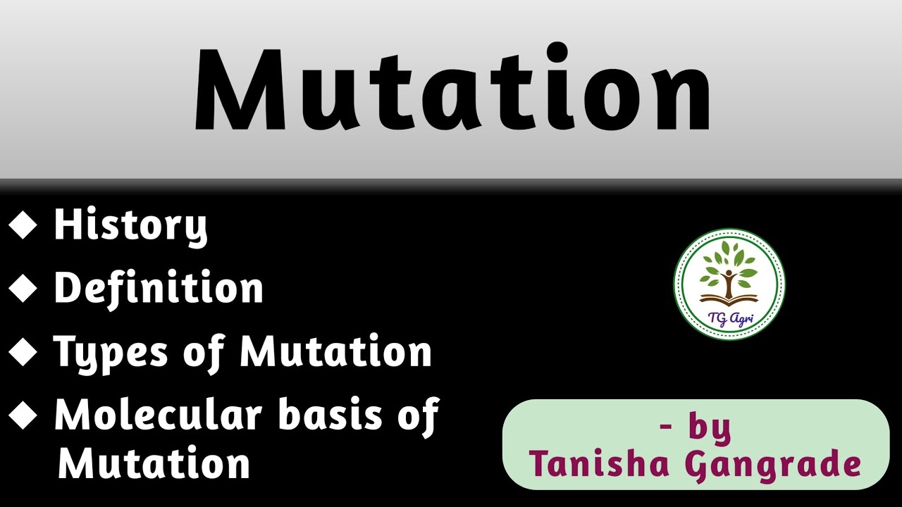 Mutation Mutation Breeding Molecular Mutation Mutation In Hindi mutation-mutation-breeding-molecular-mutation-mutation-in-hindi