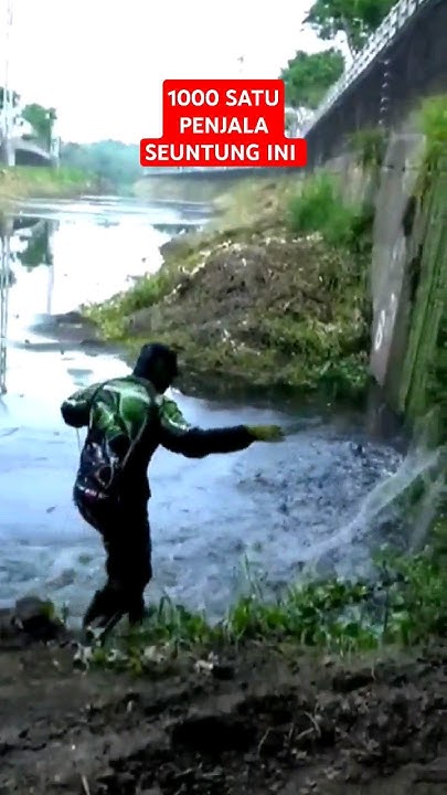 ASLI 1000 SATU PENJALA SEUNTUNG INI #shorts - YouTube