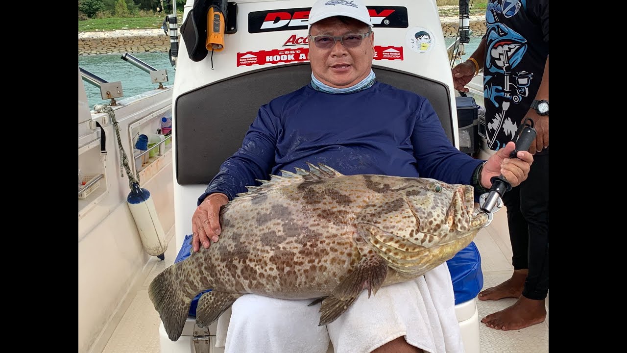Singapore Grouper Hunt - YouTube
