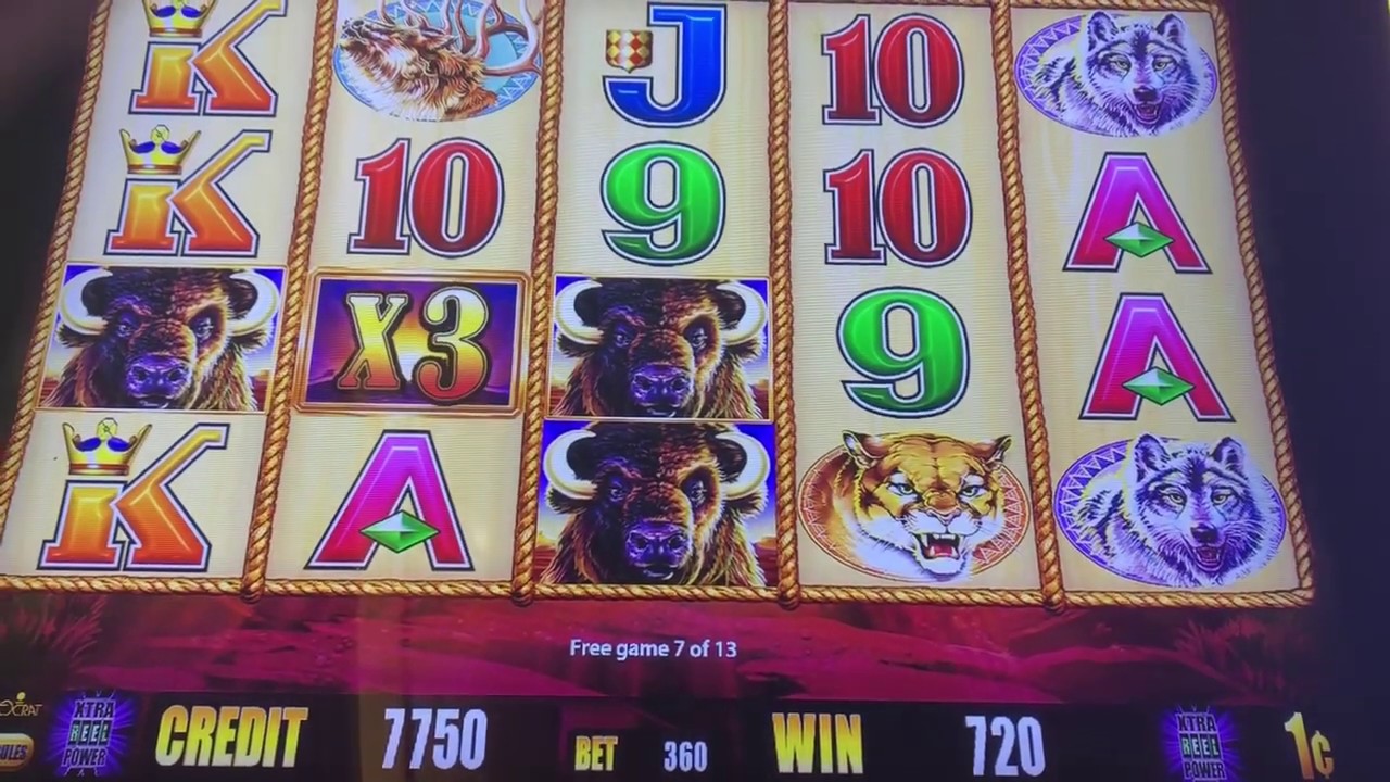 Buffalo Gold Fun 12/04/18 - YouTube