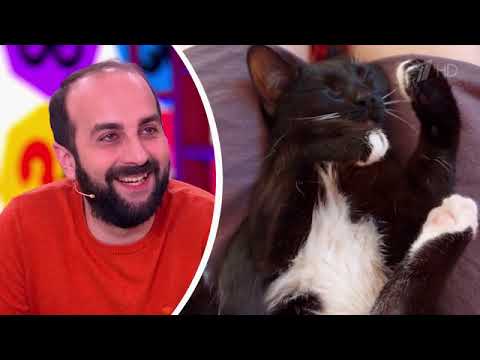 Видели видео? Выпуск от 29.01.2023