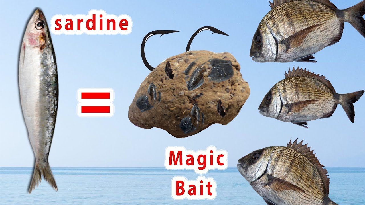 How to make the magic dough. To catch all fish (under $0.1) with ...