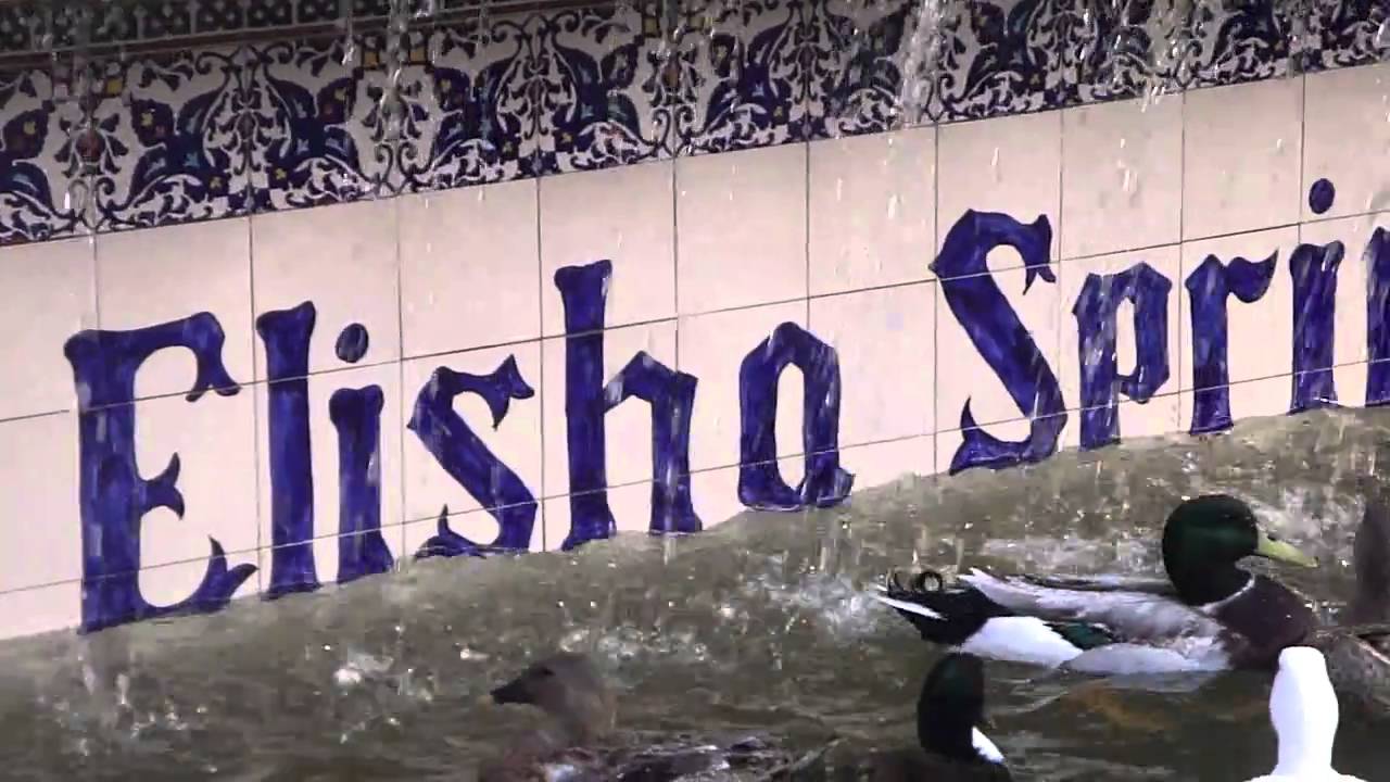 JERICHO's Elisha Spring Fountain & Ducks 12.25.10 - YouTube