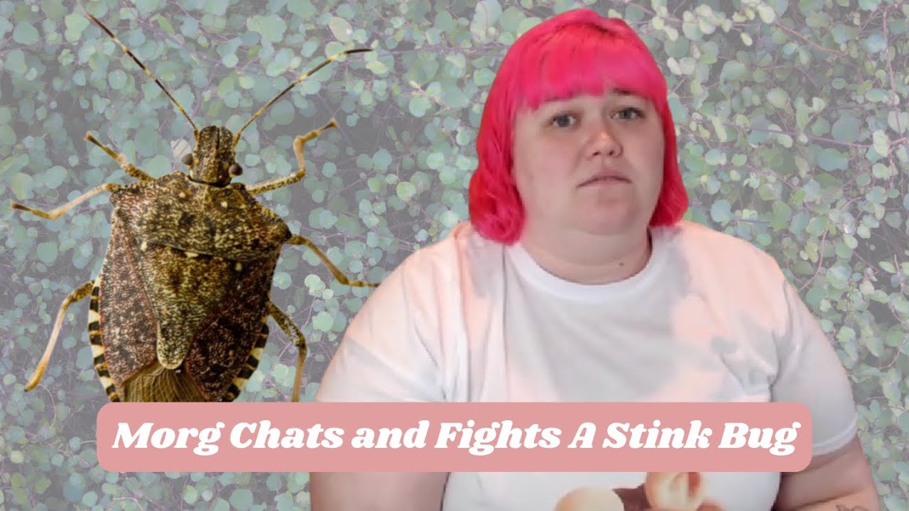 Body Doubling/Productivity Stream: Morg Chatting - YouTube