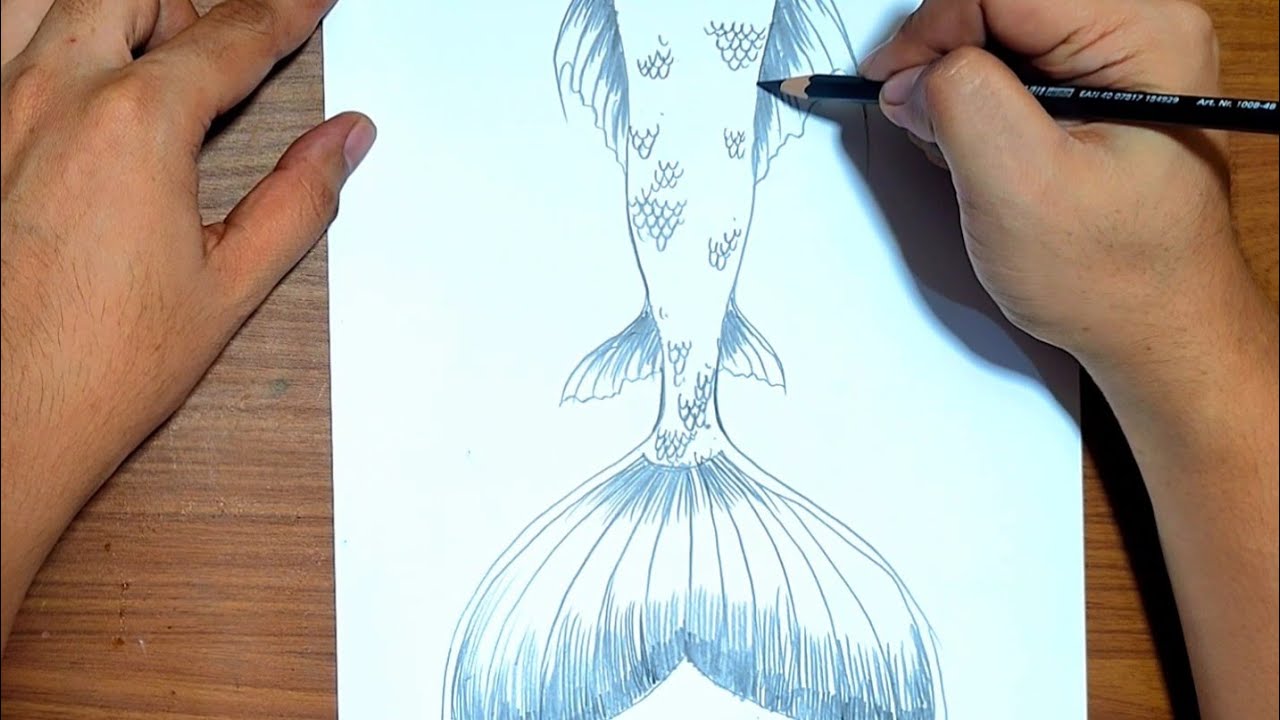 How to draw a beautiful mermaid's tail - YouTube