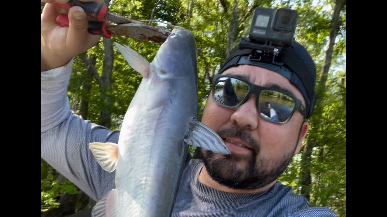 I never knew catfish made this noise. - YouTube