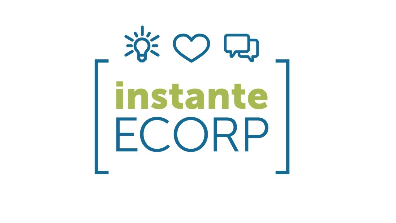 Como empregar corretamente as seguintes palavras: anexo, anexa, em ...