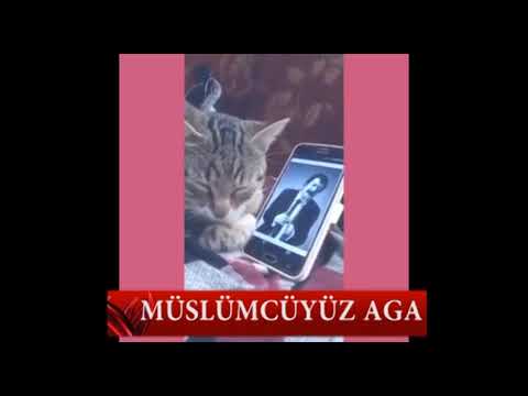 MÜSLÜMCÜYÜZ AGA