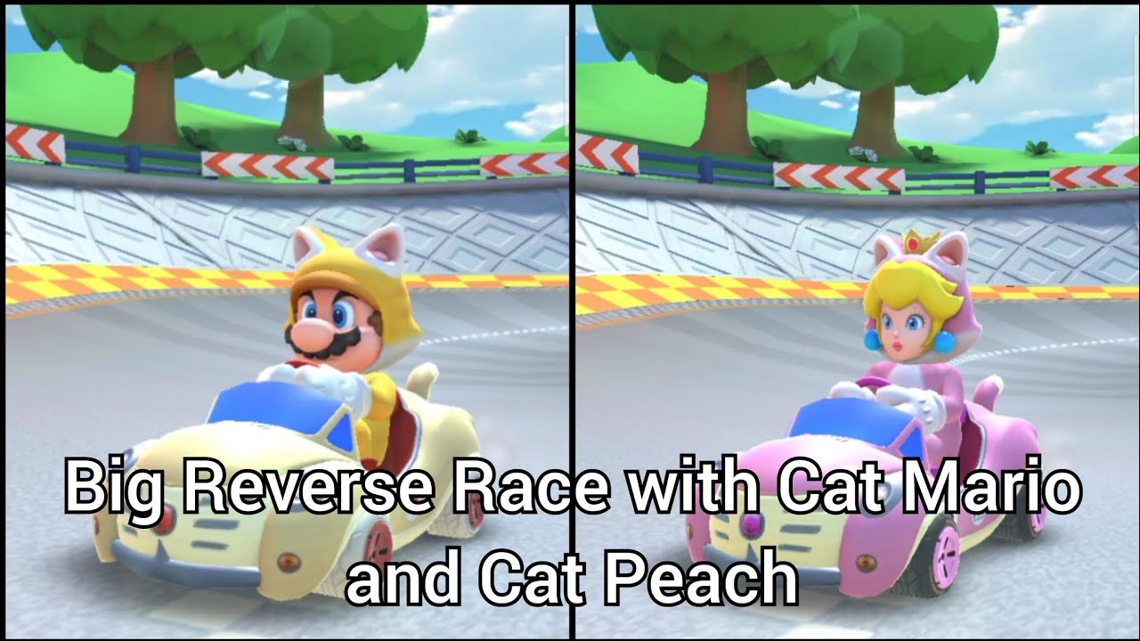 💛💖 Big Reverse Race with Cat Mario and Cat Peach in GCN Yoshi Circuit ...