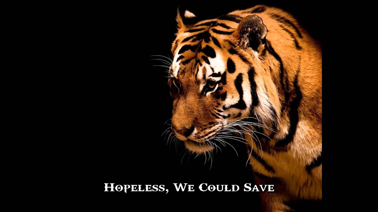 Steve Vaus - "I Still Believe" (Lyric Video) - YouTube