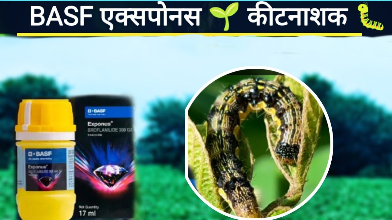 BASF EXPONUS INSECTICIDE | Broflanilide 300 G/L | सोयाबीन में इल्ली कि ...