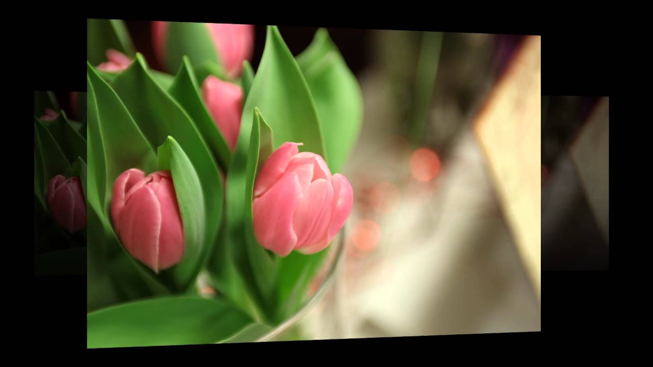 Milestone Slideshows | Anniversary Slideshow | 70th Wedding Anniversary ...