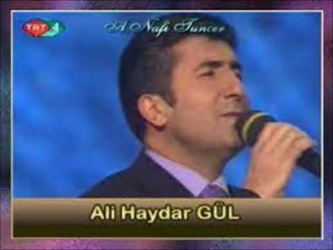 ALİ HAYDAR GÜL - BUGÜN BEN GÜZELE VARDIM