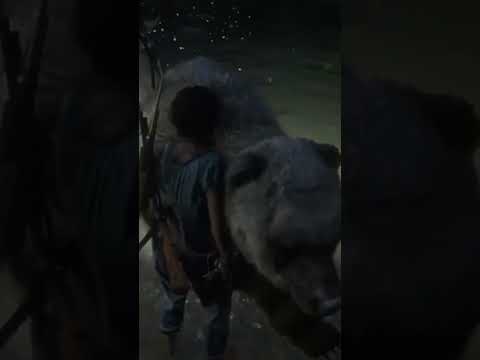 RDR2 Online - the Legendary Owiza Bear is super helpful - YouTube