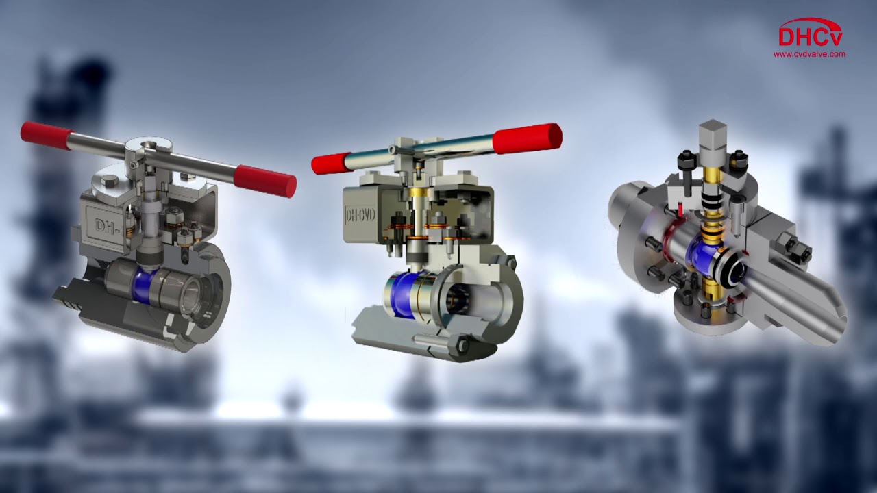 Company Video DHCv - YouTube