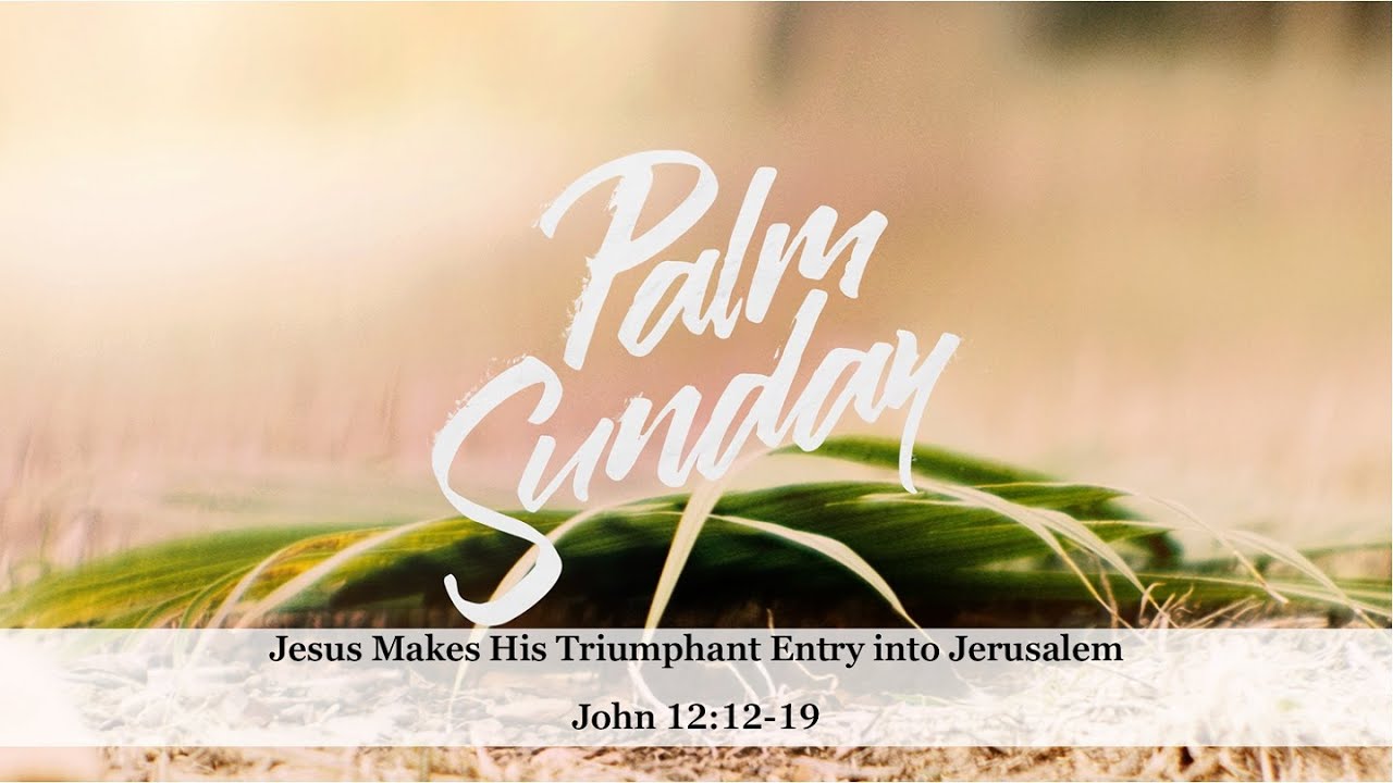 Jesus Makes His Triumphant Entry into Jerusalem: John 12:12-19 - YouTube