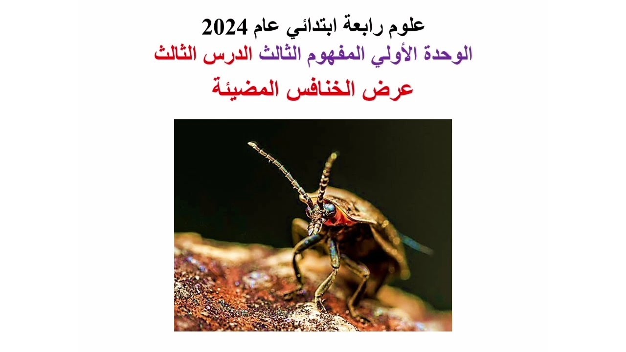 علوم رابعة ابتدائي ترم أول عام 2024 الوحدة الأولي المفهوم الثالث الدرس