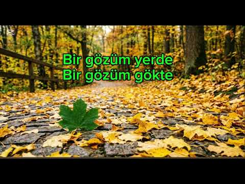 Öyle bir hal @icesözdensese