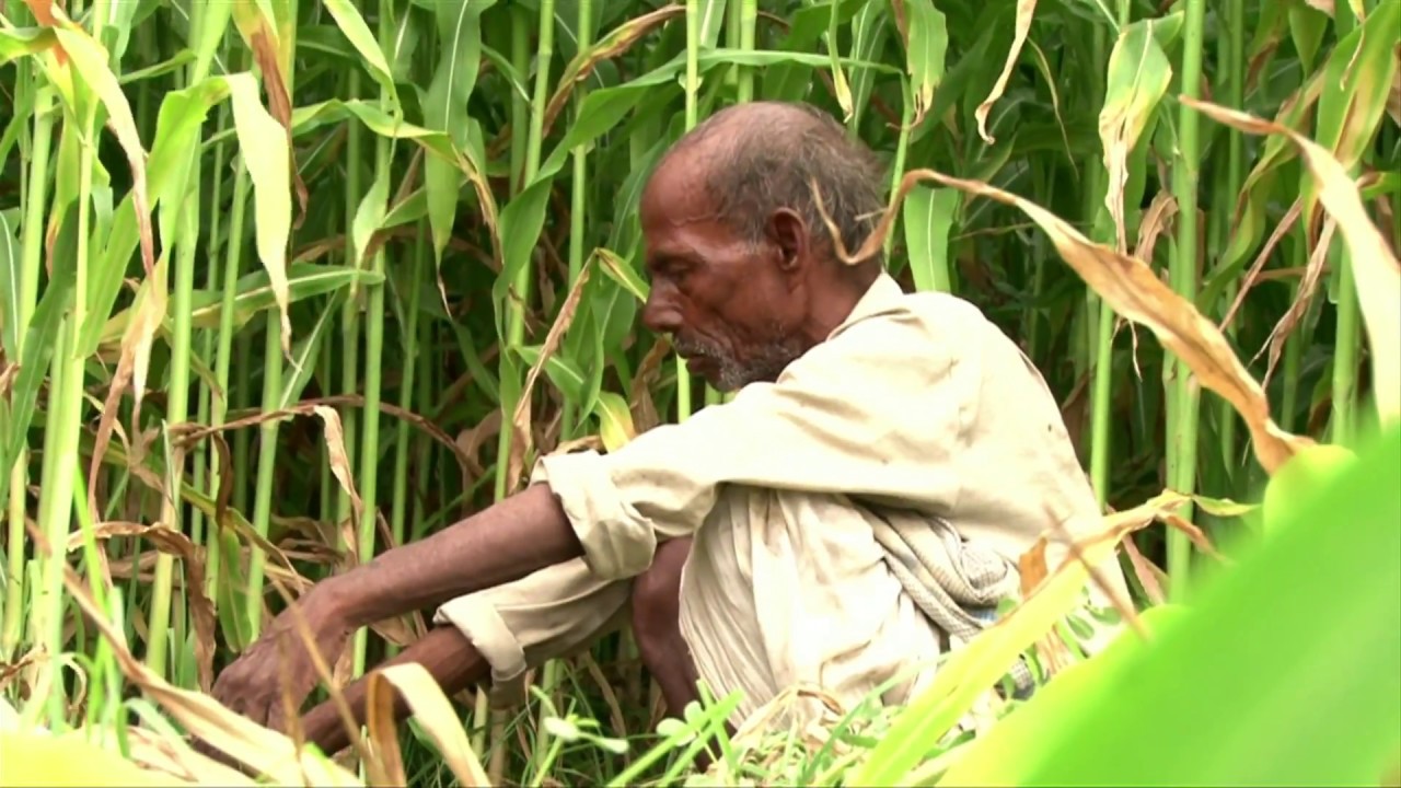 Farmer Anger Primer - YouTube