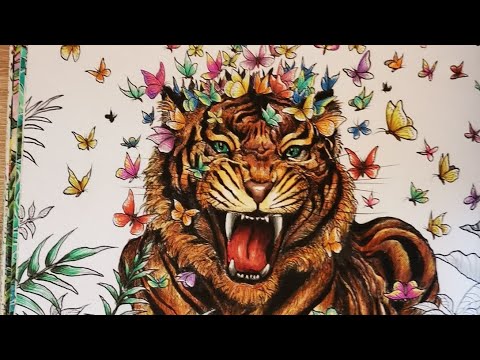 Sumatran Tigers ( 3 ) - FRAGILE WORLD - Kerby Rosanes - YouTube