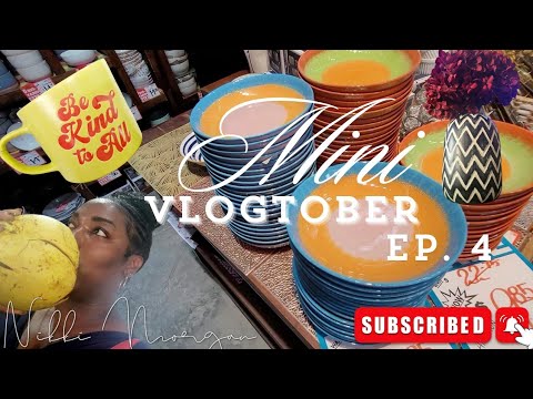Day 4 of Vlogtober: Browsing and Shopping for Chic Finds at Mode Alive ...