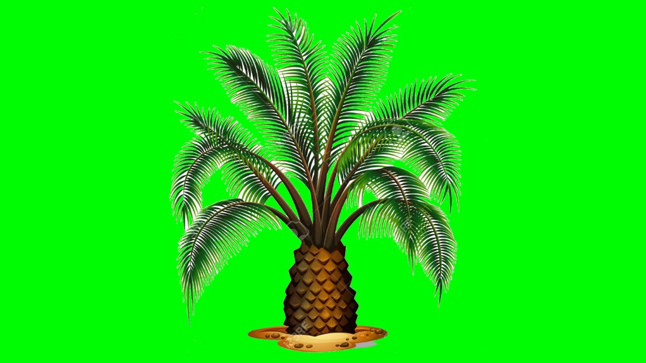Green screen nariyal coconut tree kinemaster chroma key video editor ...